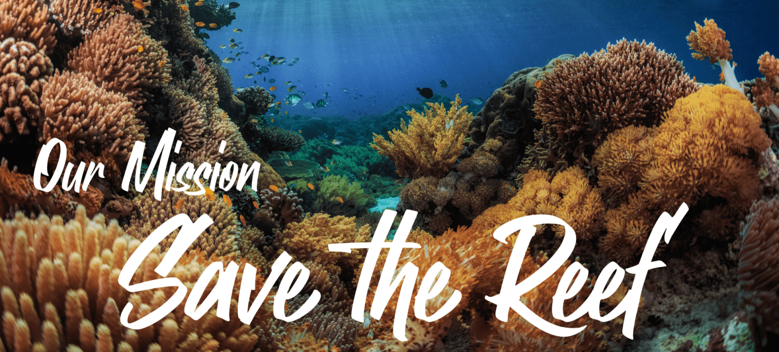 Reefer THCA | THCA & Delta 9 Edibles | Life Leaf Medical